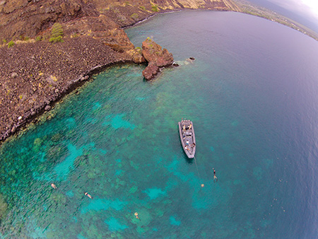 Captain Cook Snorkel Tour - Wild Hawaii Ocean Adventures